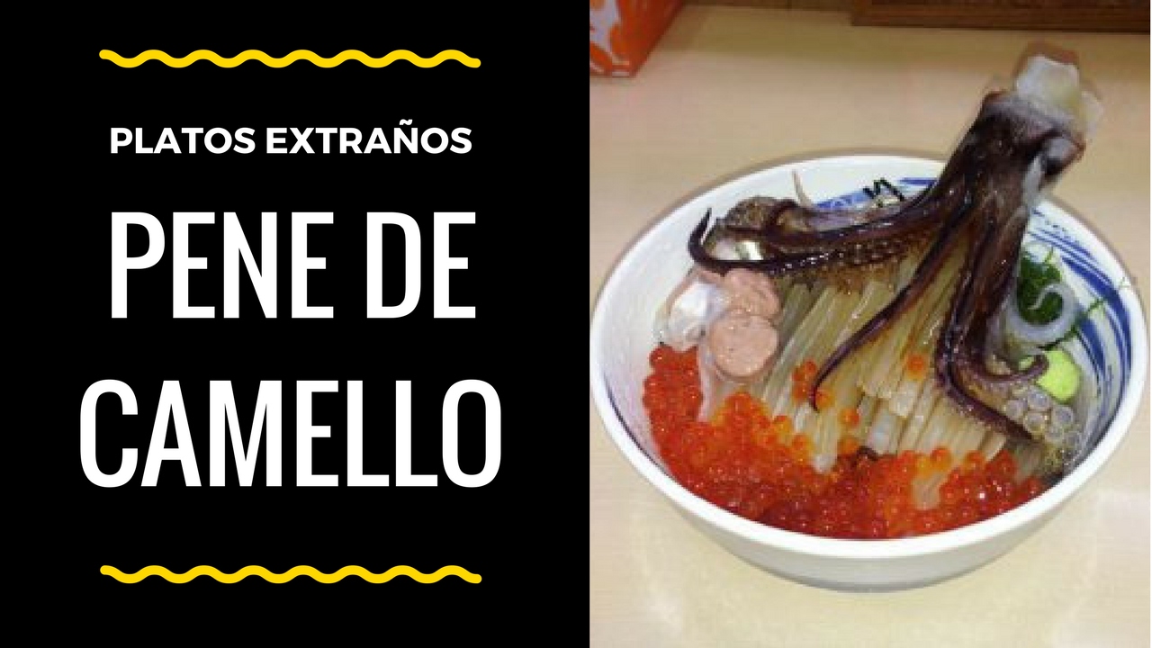 Los 5 platos mas extraños del mundo,(comida absurda) - YouTube