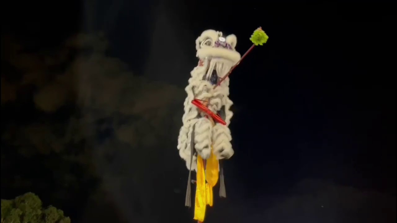 Qing Fong Lion Dance Team | High Pole Routine Part 2 | Ming Yue Lay ...