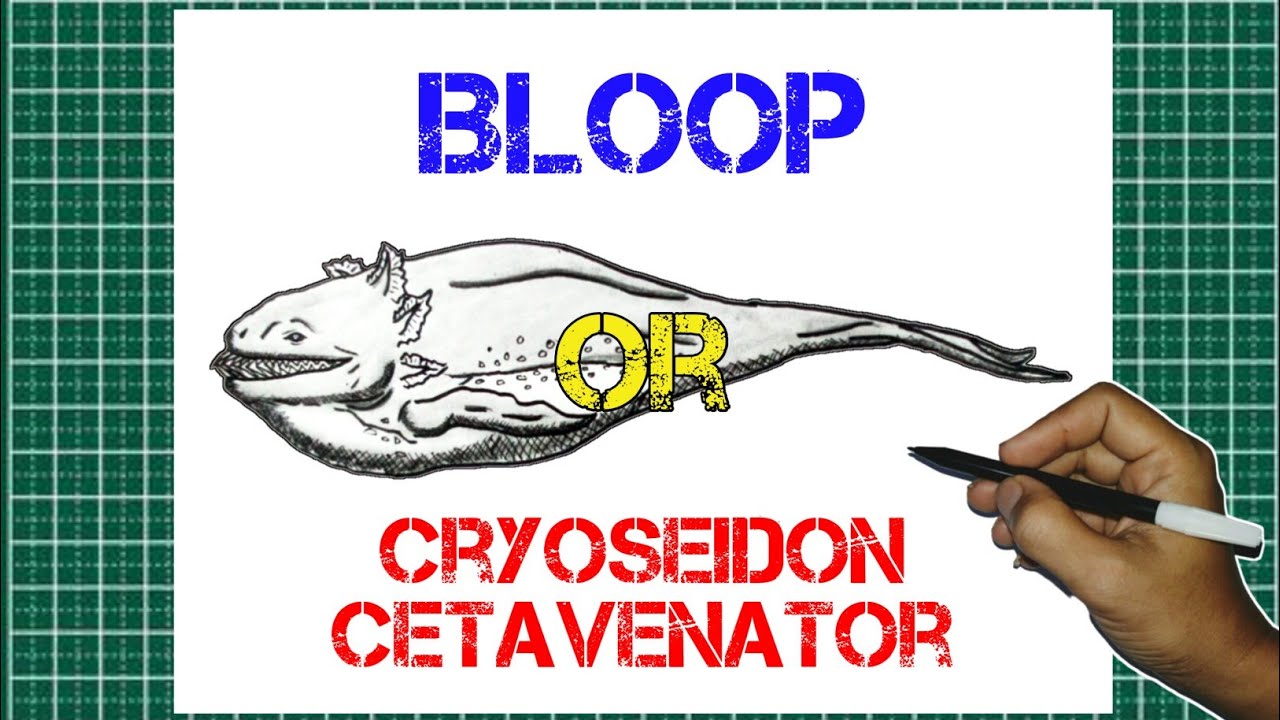 How to Draw Bloop or Cryoseidon Cetavenator ? - YouTube