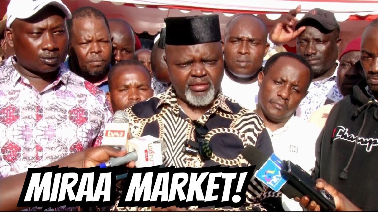 Miraa farmers in Meru urge President Ruto to end cartel-like behaviour ...
