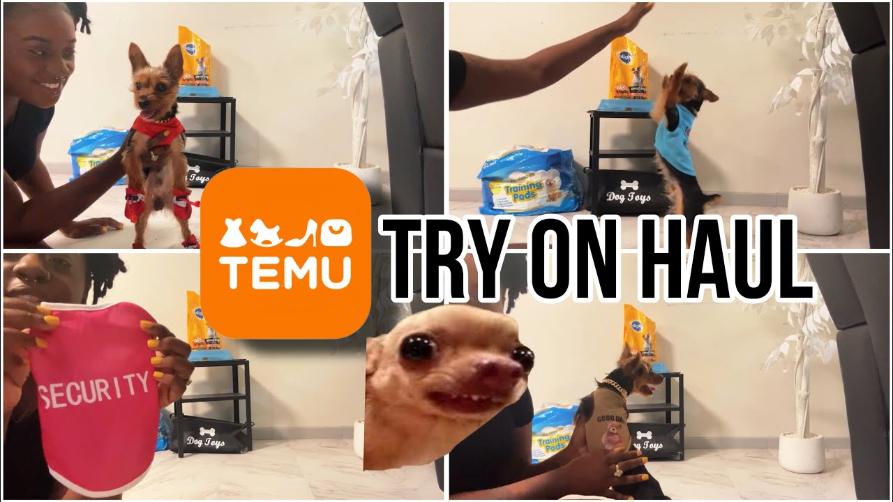 AFFORDABLE Temu Puppy Try On Haul !! - YouTube