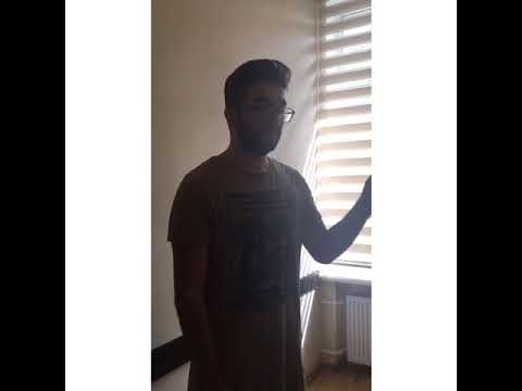 Günel Veyisova & Riad Hasanoglu (beatbox) - Believer (cover)