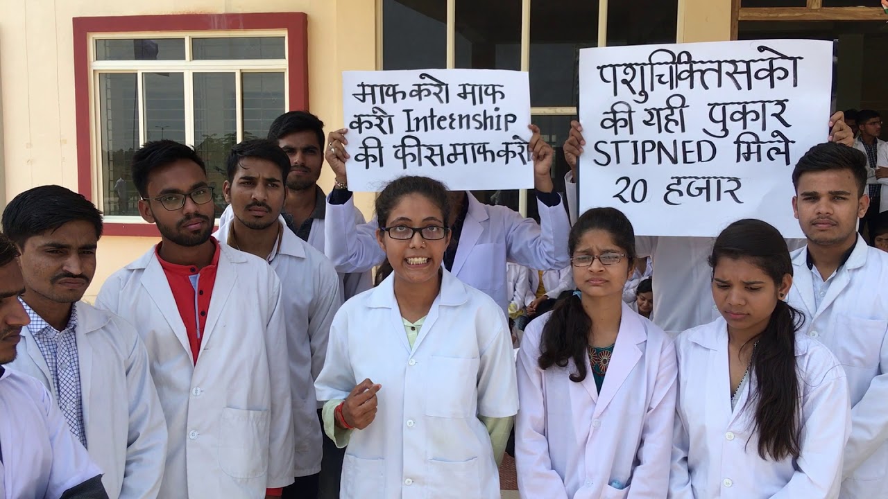 Ndvsu mp veterinary college on strike from last 6 days - YouTube