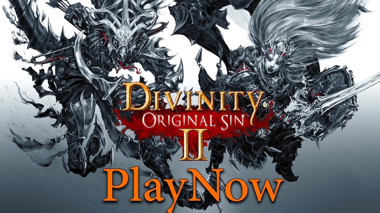 PlayNow: Divinity Original Sin 2 | PC Gameplay - YouTube