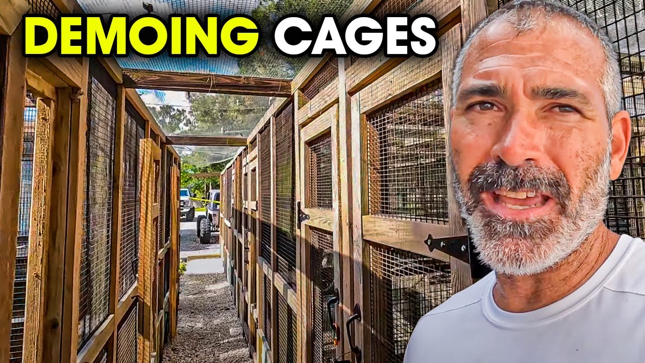 Demoing Cages at the Old House - YouTube