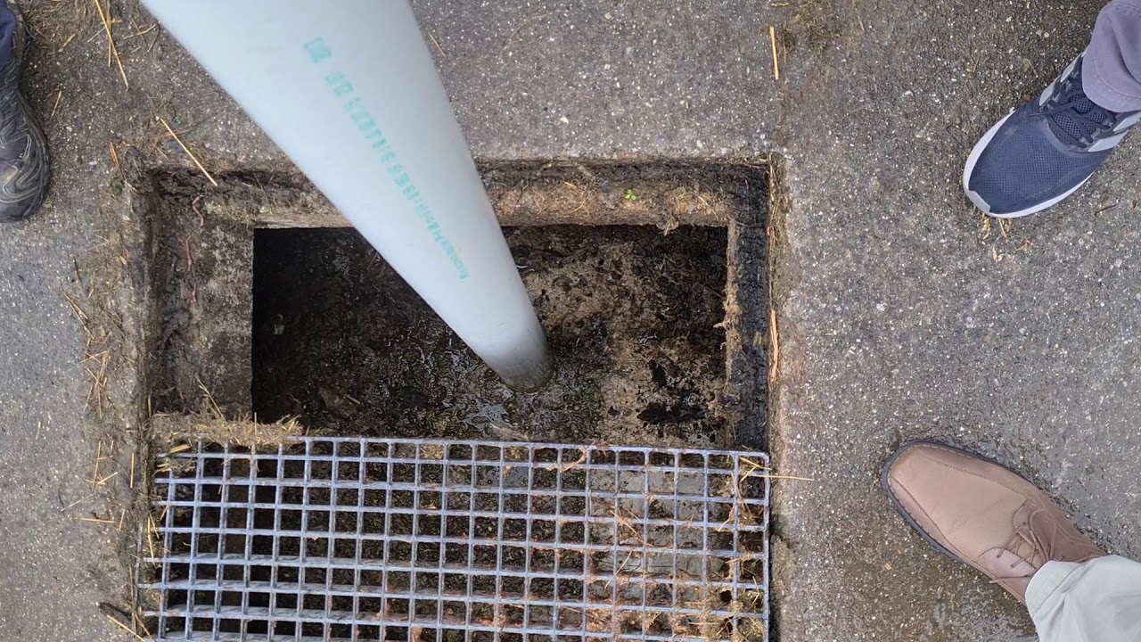 TRIUNE Dairy pit treatment in Switzerland (CH) - YouTube