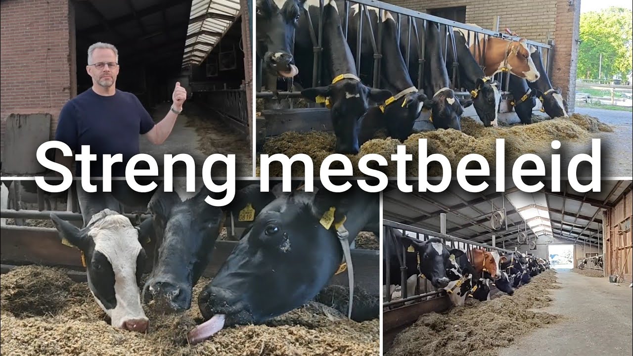 Waarom de koeien in de nacht NIET NAAR BUITEN kunnen... | Boer Gerrit ...