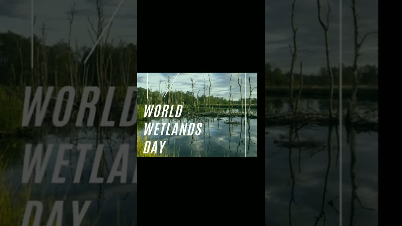 February 2 Special day in the world status | what special day in Feb 2 ...