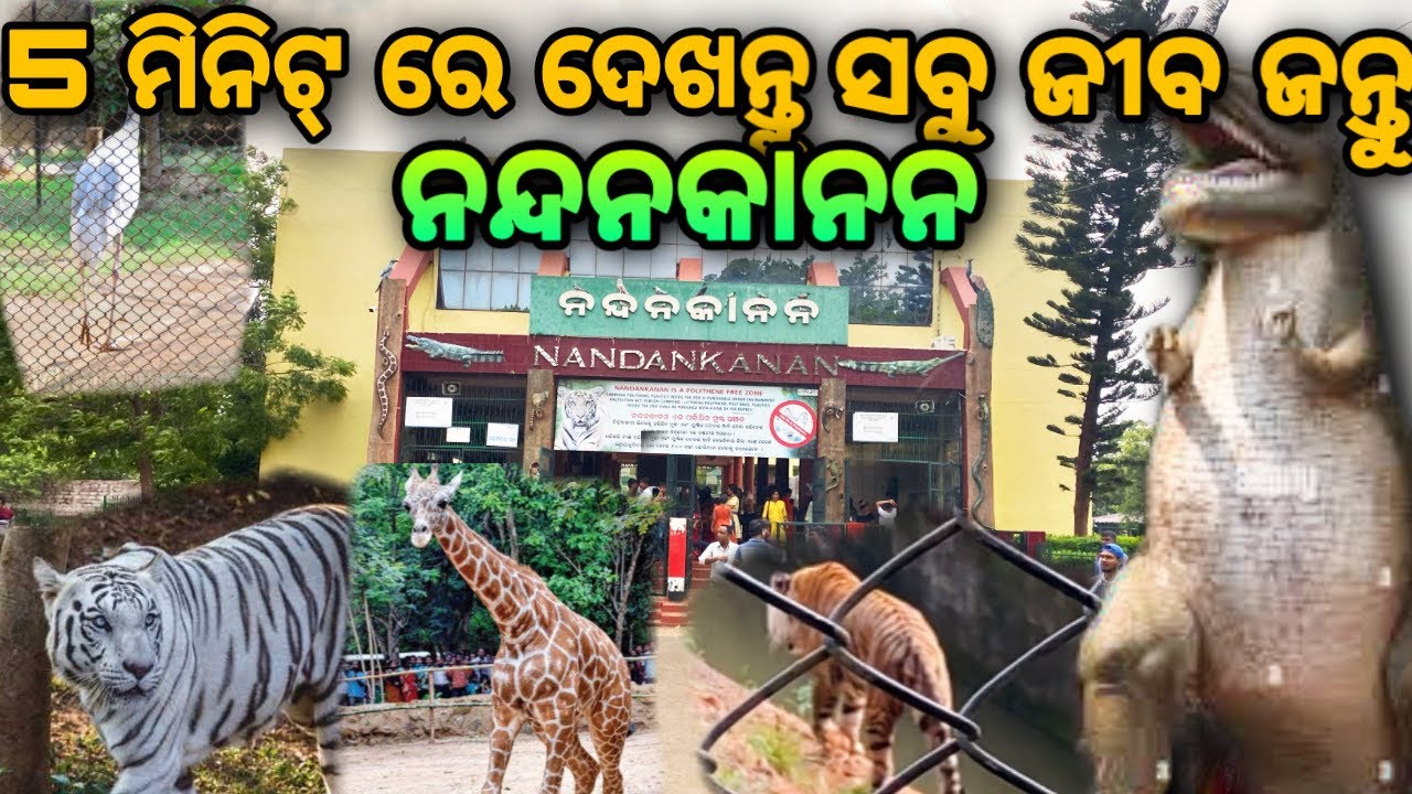 Nandankanan | Nandankanan Zoological Park | Nandankanan Bhubaneswar ...