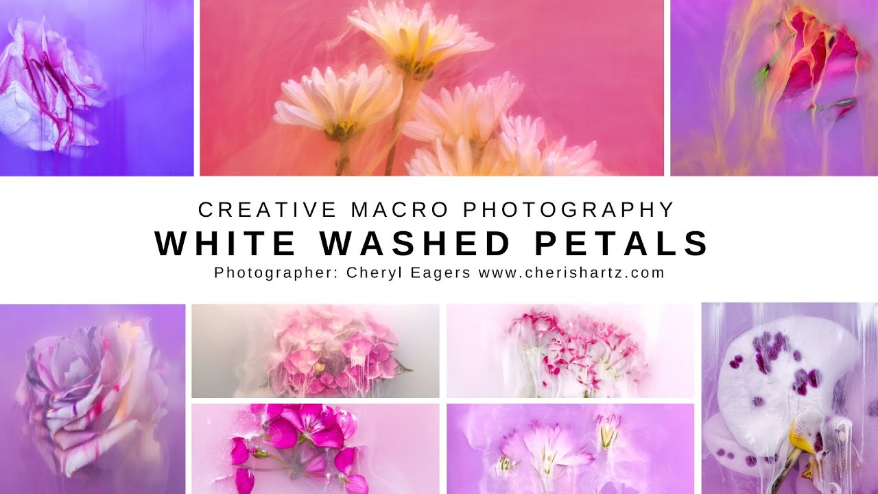 Flower Photography Ideas – Be Unique Use Paint! by Cheryl Eagers of ...