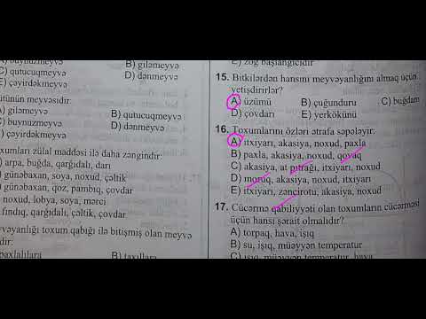 Toxum. Meyvə. Meyvə və toxumların yayılması. Biologiya DİM test toplusu. MİQ 26
