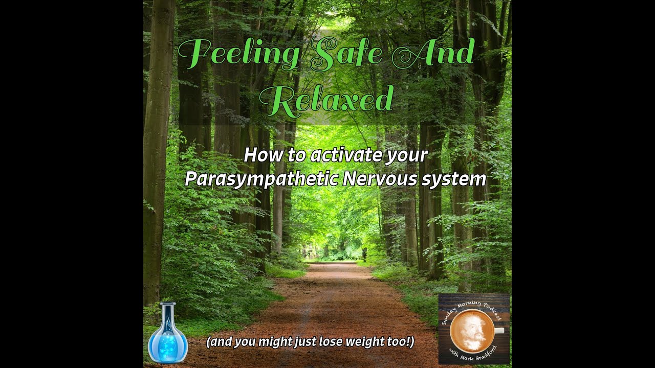 Feeling Safe & Relaxed – Parasympathetic Nervous System - YouTube