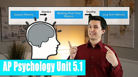 AP Psychology Unit 5 Review - YouTube