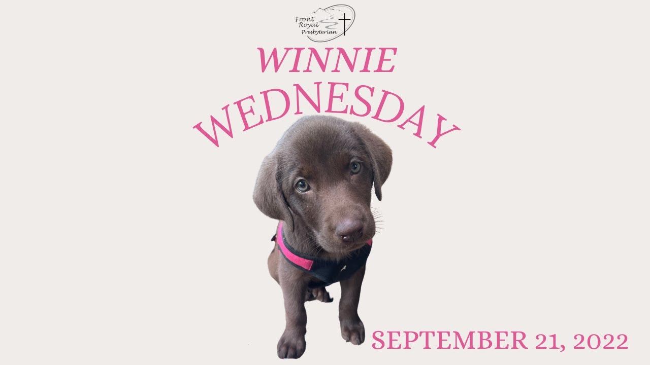 Winnie Wednesday- September 21, 2022 - YouTube