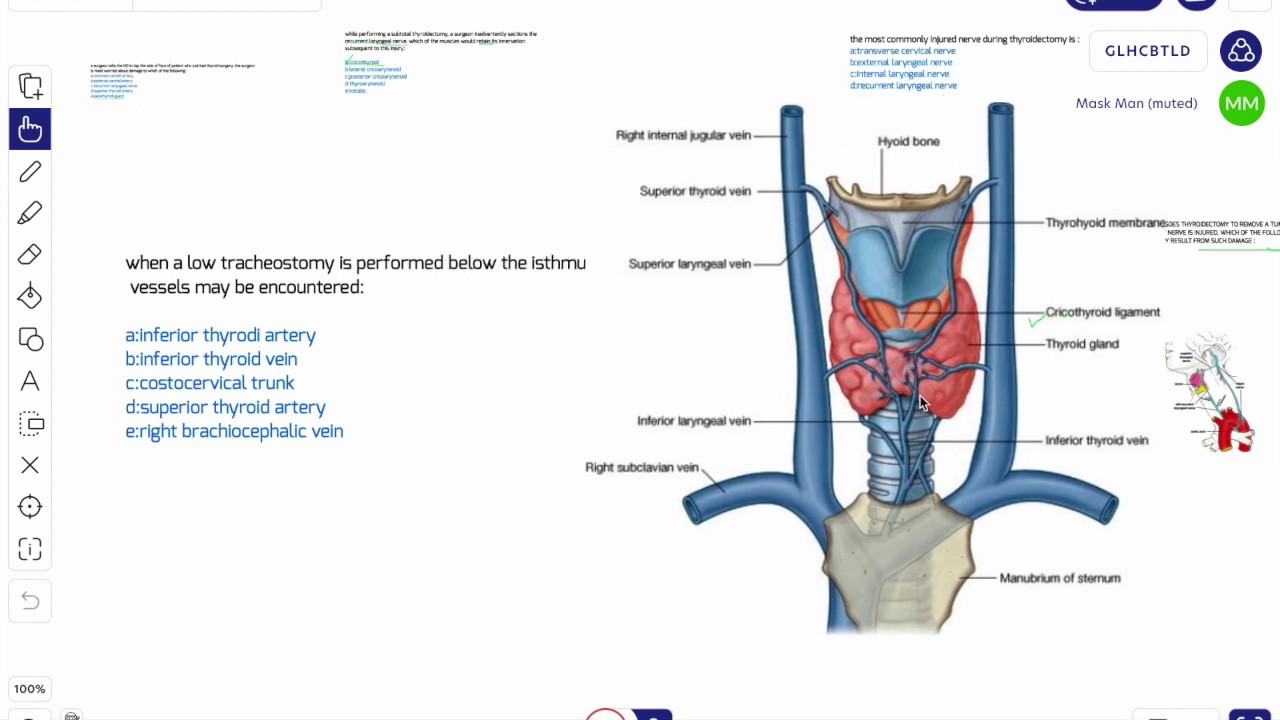 Thyroid Gland Mcqs | Bcqs | Anatomy - YouTube