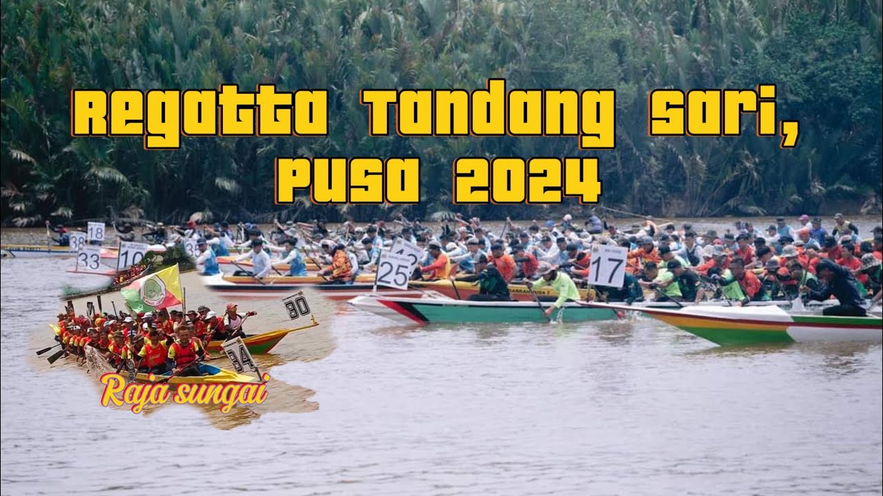 Regatta Tandang Sari Pusa 2024//Final Sampan Bidar//Siapo Rajo Sungey ...