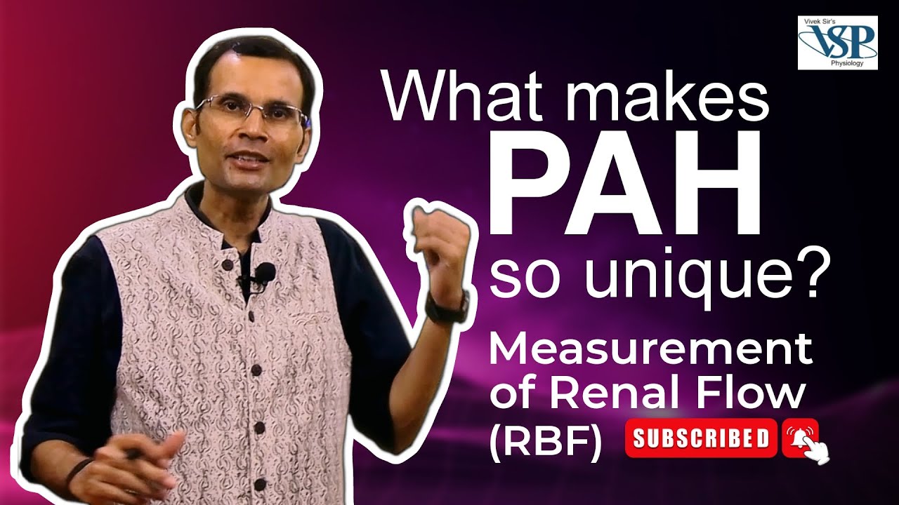 Measurement of Renal Blood Flow (RBF):- What makes PAH so unique ...