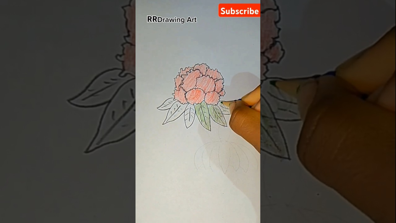 #beautiful #drawing rhododendron flower laliguras in Nepal flower 🌹🌹 # ...