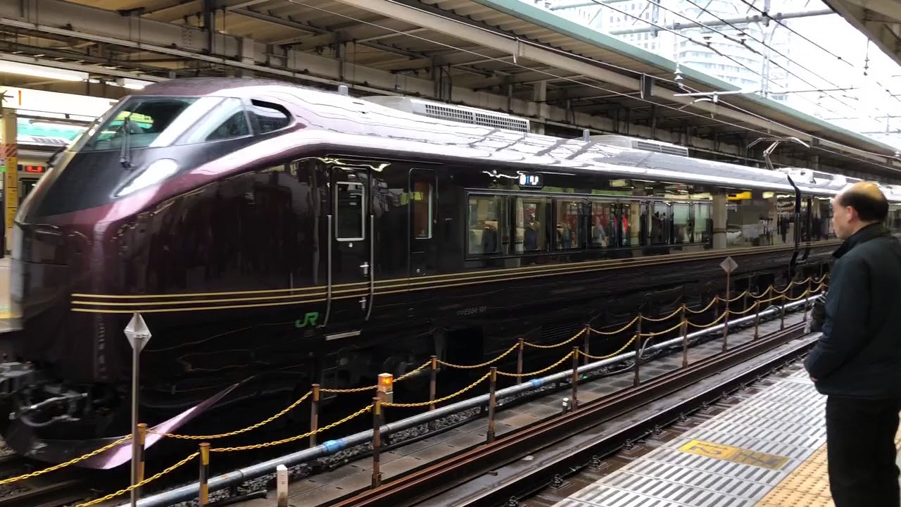 E655系「なごみ」団体列車 東京駅発車 - YouTube