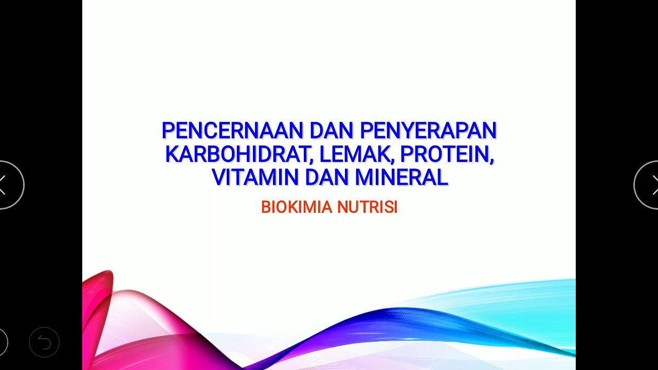 Biokimia Nutrisi - Pencernaan dan Penyerapan Karbohidrat, Lemak ...