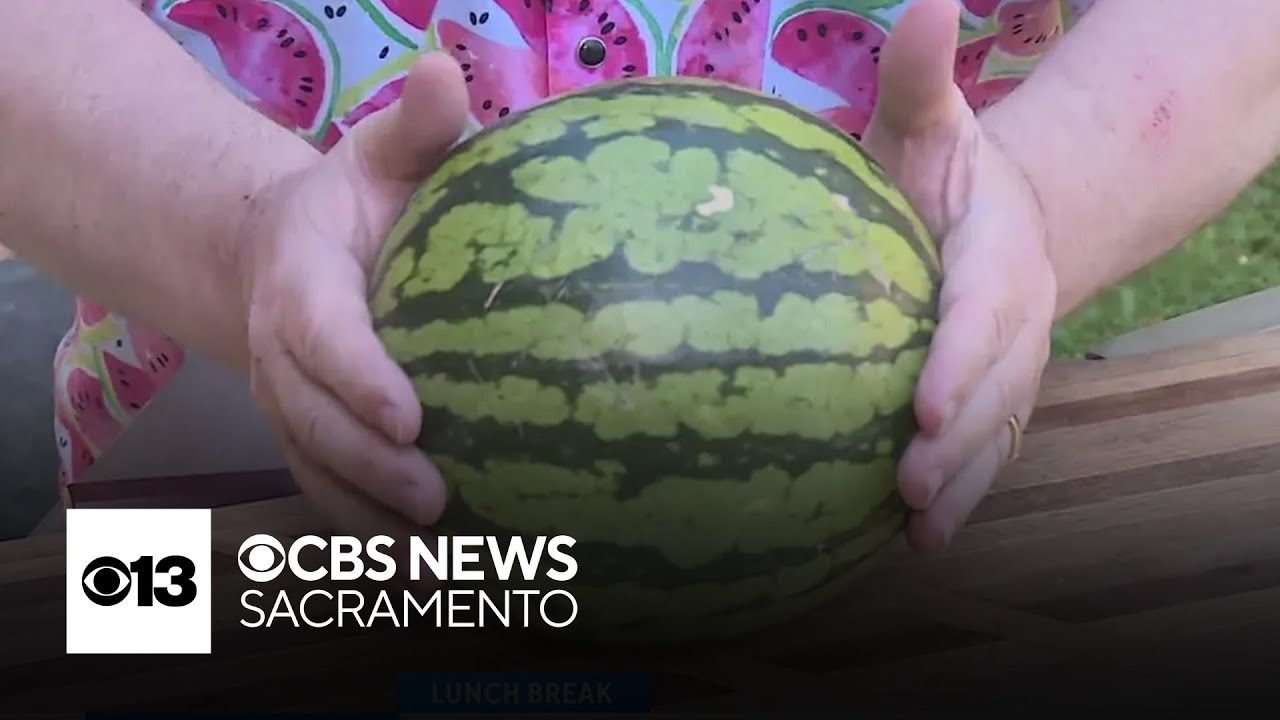 Watermelon season has begun in California. Here's how to pick the right ...