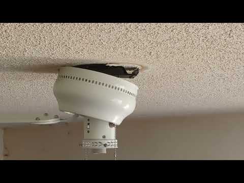 The crazy Hampton Bay Littleton ceiling fan at it again lol. 💀