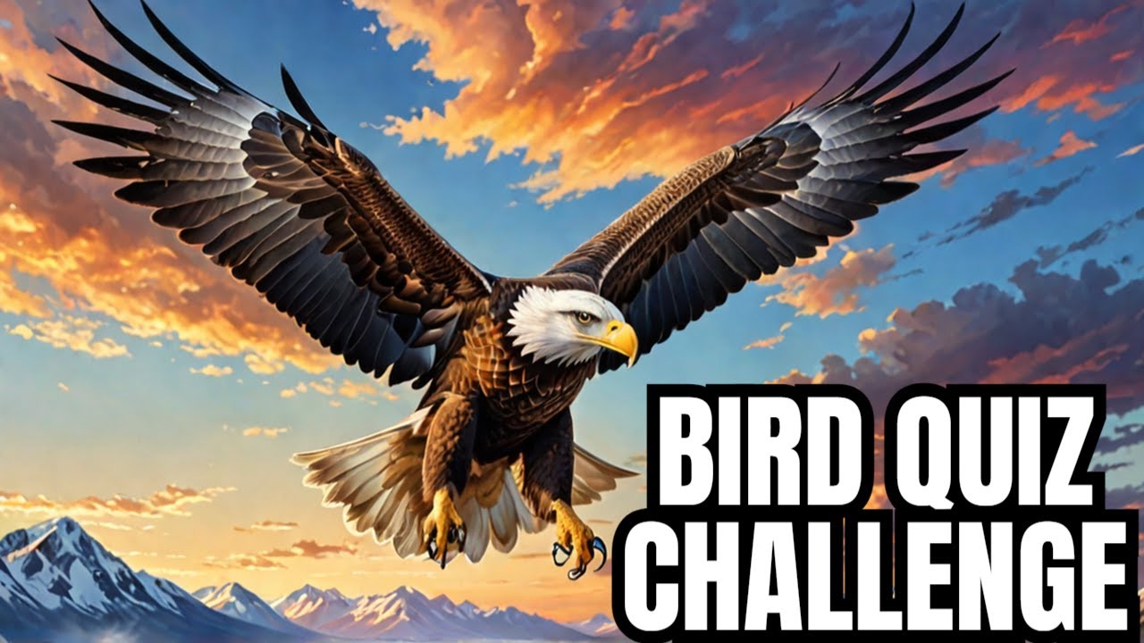 The Ultimate BIRD QUIZ of 2024! - YouTube