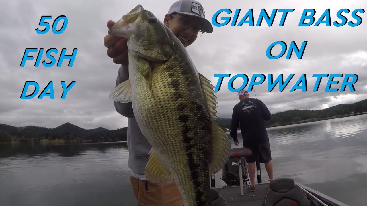 50 Fish Day Lake Chatuge: Dream Catcher Guides - YouTube