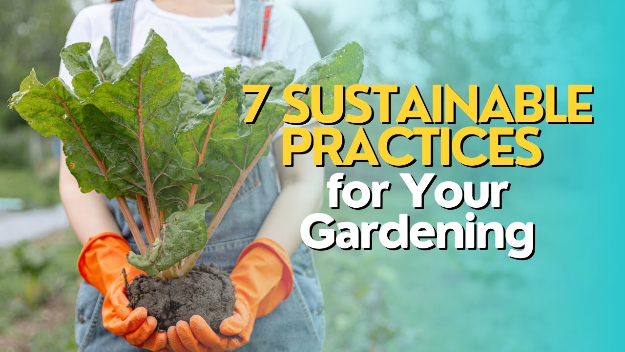 Top 7 Sustainable Practices for Your Gardening - YouTube