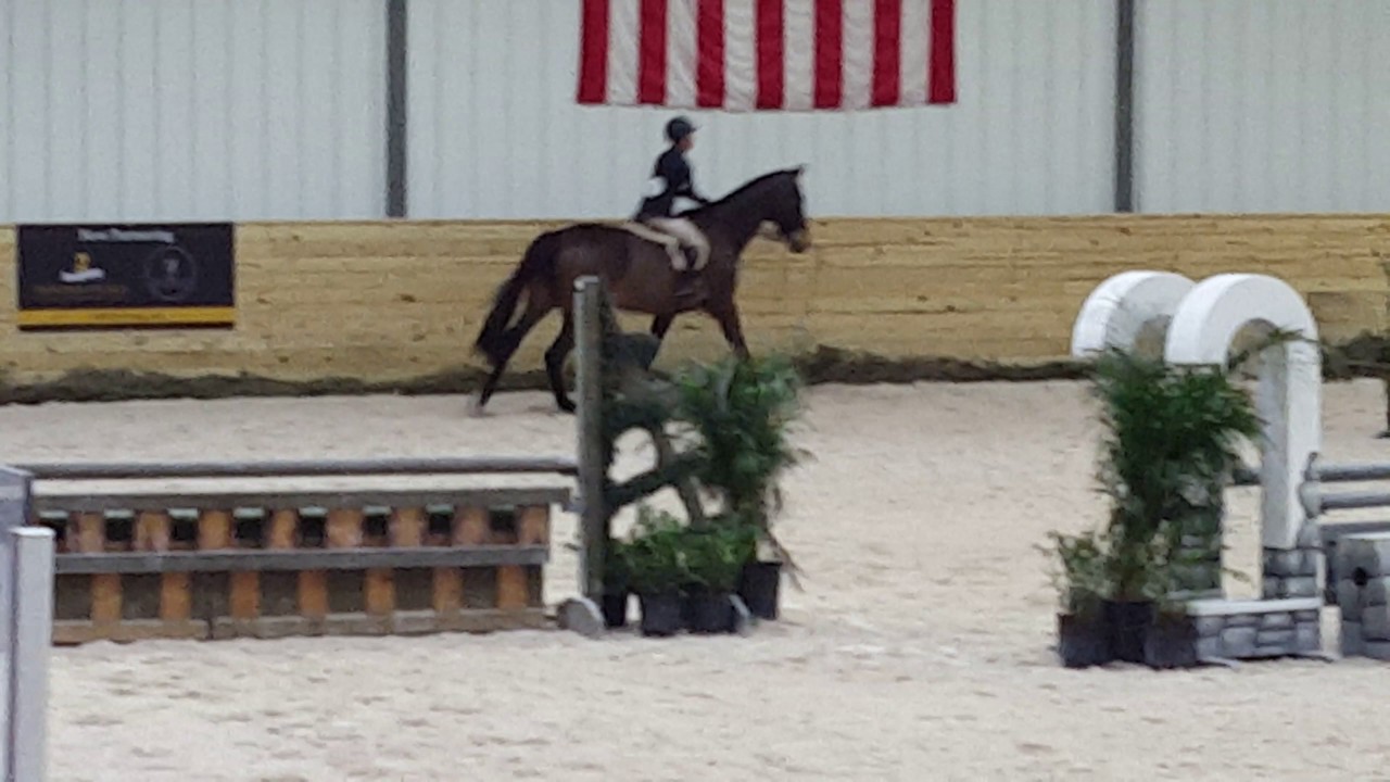 A Zarah 64 & Sarah Berkowitz Winner Ariat Medal WEC#8 - YouTube