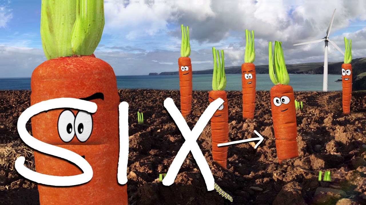 CARROTS IN A FIELD - YouTube