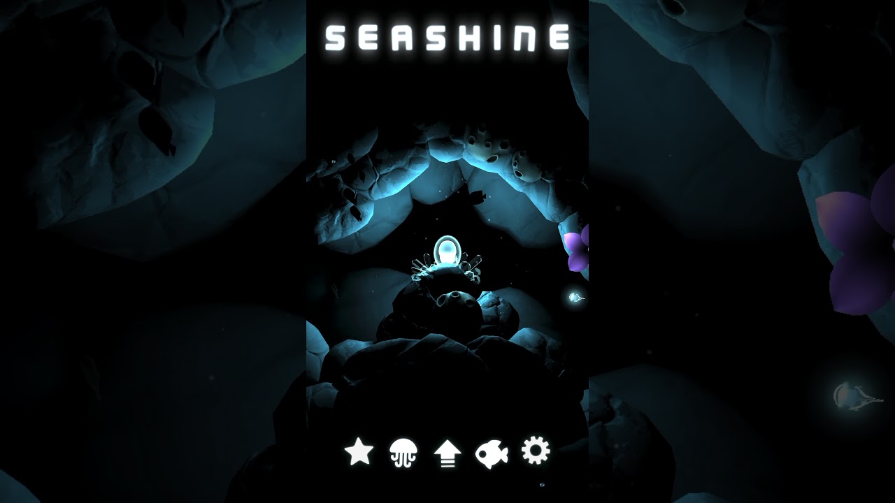 Seashine Calming Intro - YouTube