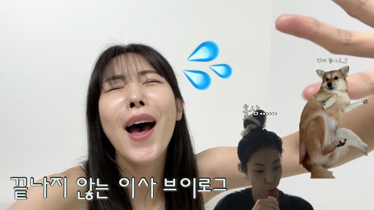 Vlogㅣ 이사하고 정리하는 일상ㅣ이사할땐 전문가를 불러주세요ㅣ와인이 좋아ㅣ밥을 잘 챙겨먹어야해요 일상브이로그 썬크림