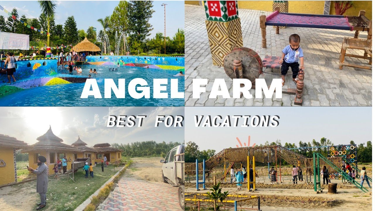 ANGEL FARM HOSHIARPUR || MINI KERALA || 50 Rs TICKET || POOL ...