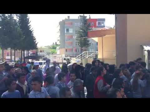 Gülnarın yollarına