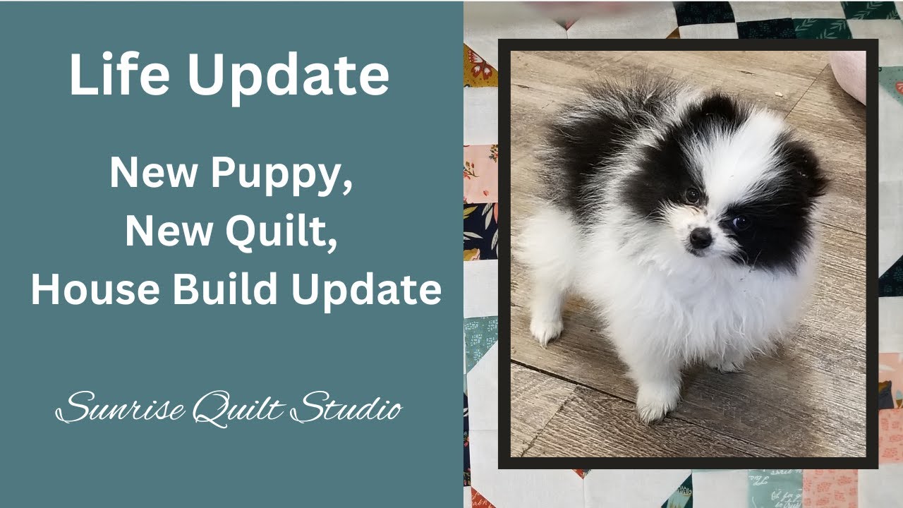 Life Update - New Puppy, New Quilt, House Build Update - YouTube