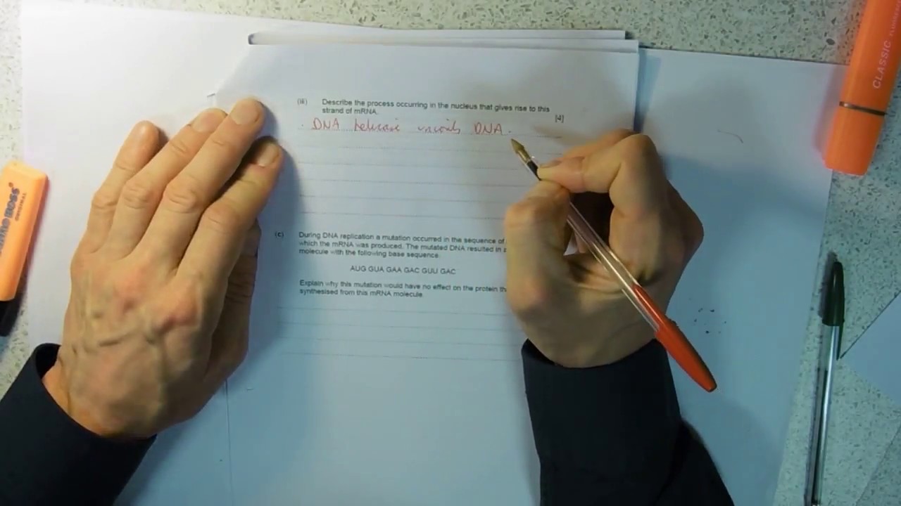Q9 Genetic Code Model Answer Youtube