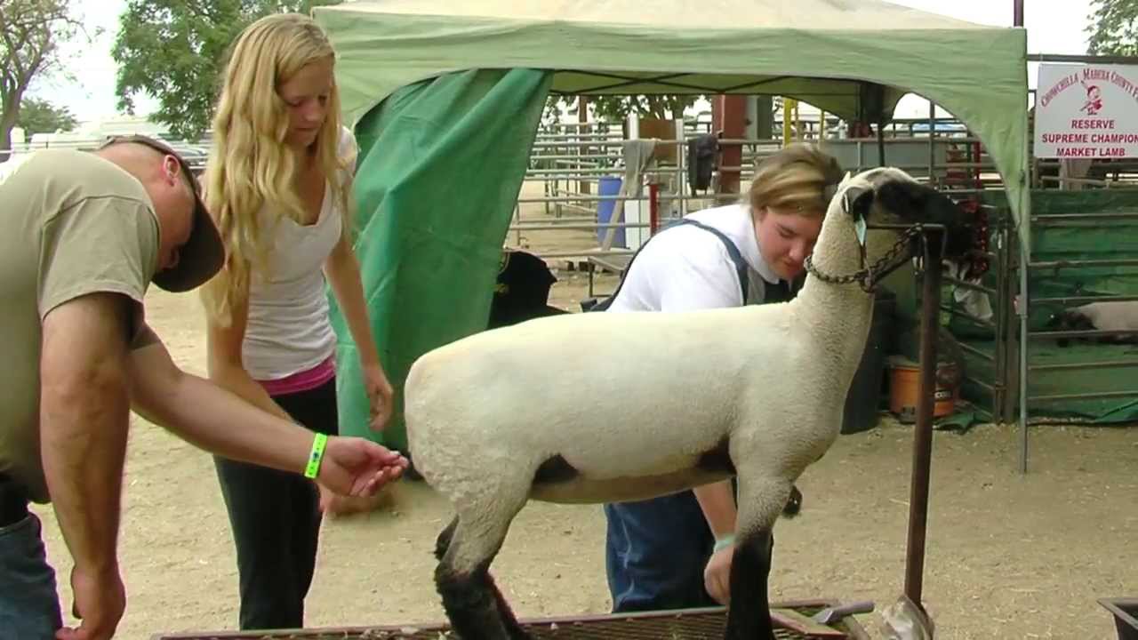 Chowchilla Madera County Fair Opening Day - YouTube