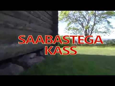 Saabastega kass