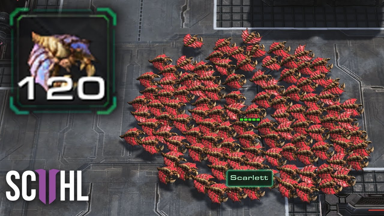 Scarlett's Ultimate Zerg Economy - Starcraft 2 - YouTube