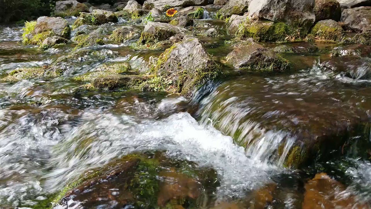 Mt Shasta City Park: Headwaters of the Upper Sacramento River - YouTube