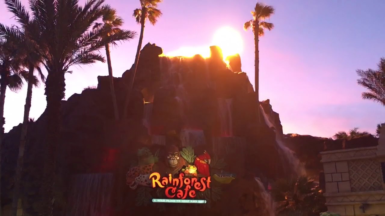 Rainforest Cafe Galveston Volcano Eruption - YouTube