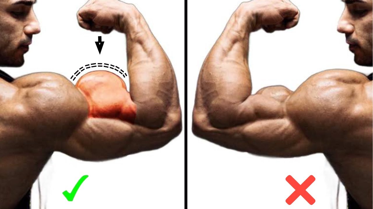 6 Effective Exercises for Huge Bicep Peak | 6 EXs Huge Bicep Peak - YouTube