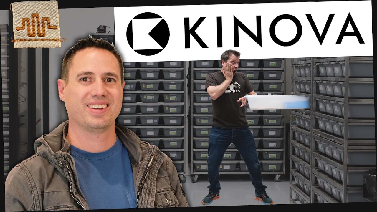 ADVANCED BALL PYTHON BREEDING FACILITY | Behind the Scenes at KINOVA ...