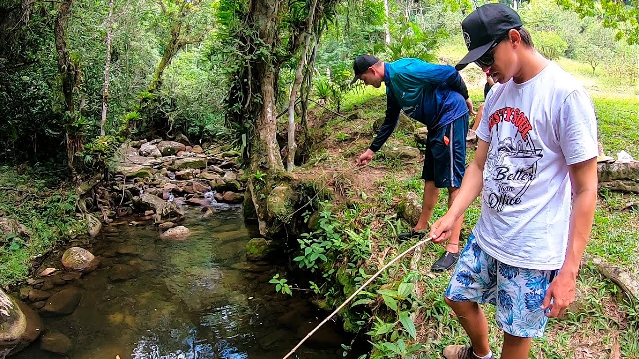 PESCANDO LAMBARI COM VARINHA DE MÃO EM UMA SANGA! - YouTube