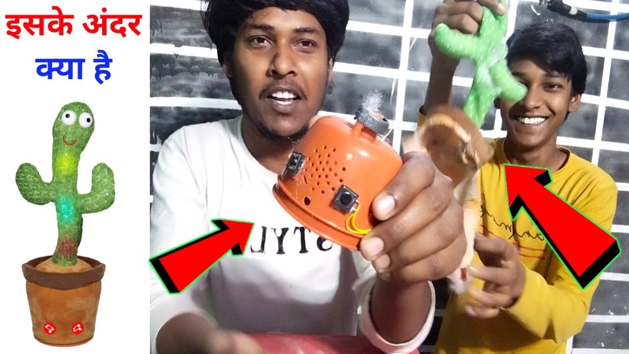 what is inside the dancing Cactus, डांसिंग कैक्टस के अंदर क्या होता है ...