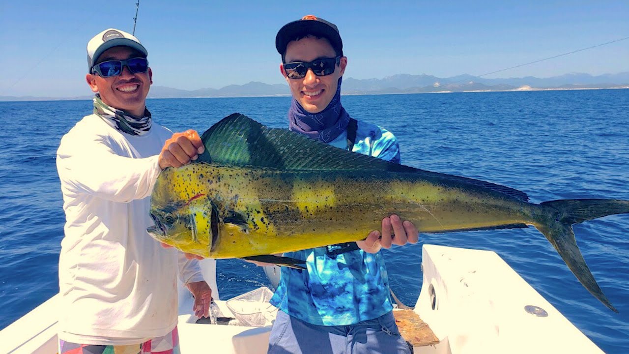 The FASTEST GROWING Fish in the Ocean (South of the Border Pt. 1) - YouTube