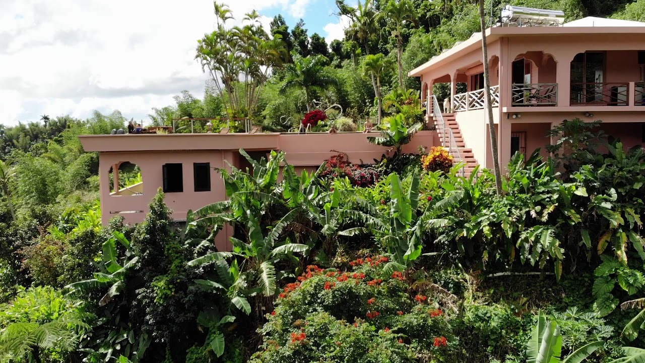 Aerial shot of infinity pool at Casa Flamboyant in Puerto Rico - YouTube
