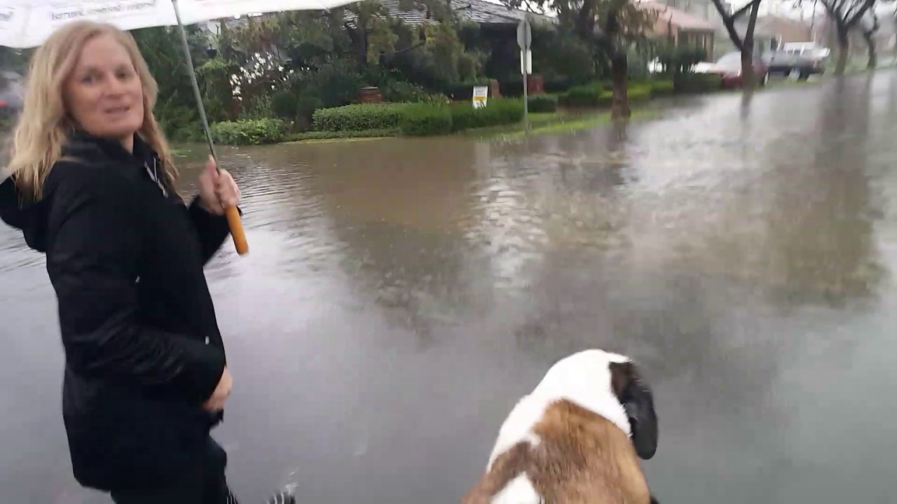Long Beach Flooding - YouTube