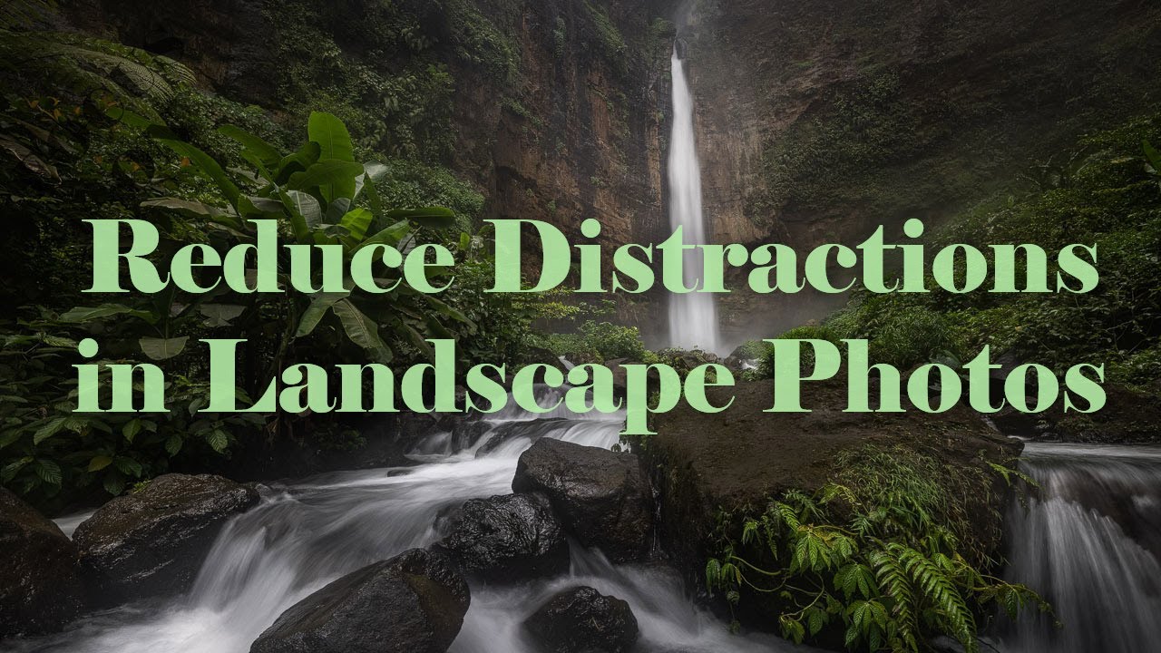 Distractions Photography